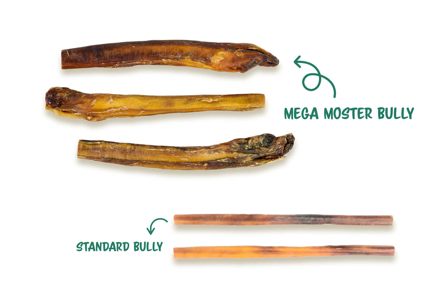 Mega Monster 12" Bully Sticks - Bulk Box