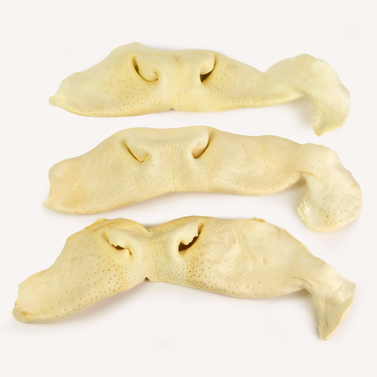 Beef Snout Chews for Dogs | Beef Cow Noses