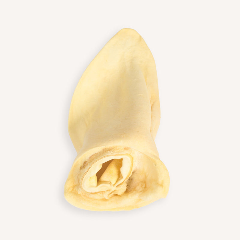 Bulk Cow Ears for Dogs | Zenta Pets
