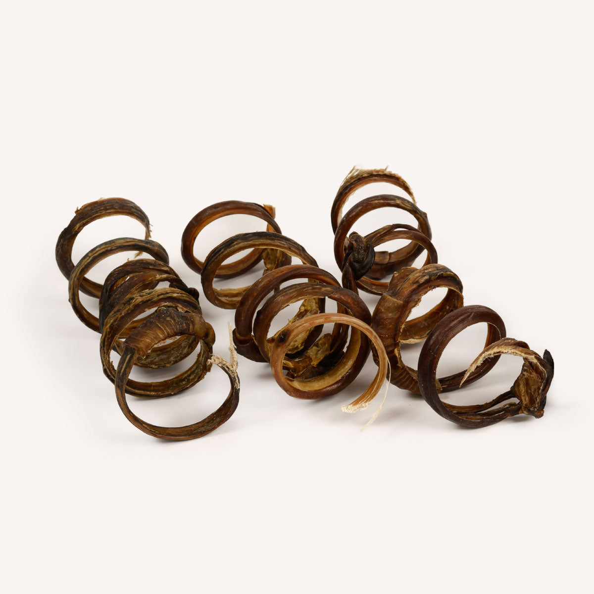 Pig Pizzle Springs for Dogs | Zenta Pets