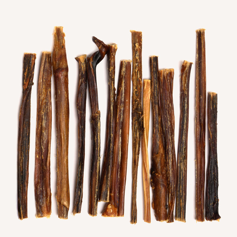 Pig Pizzle Stick Chews For Dogs | Zenta Pets